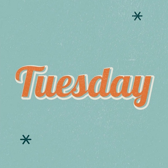 Skirts | Random Pull 5110 | Poshmark